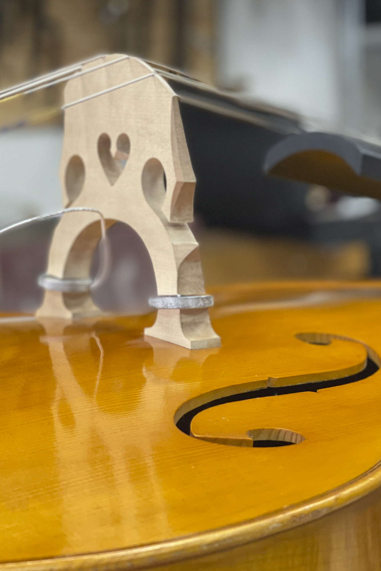Study Case : RETRO-CONCEPTION POUR LA LUTHERIE - 3D Reality